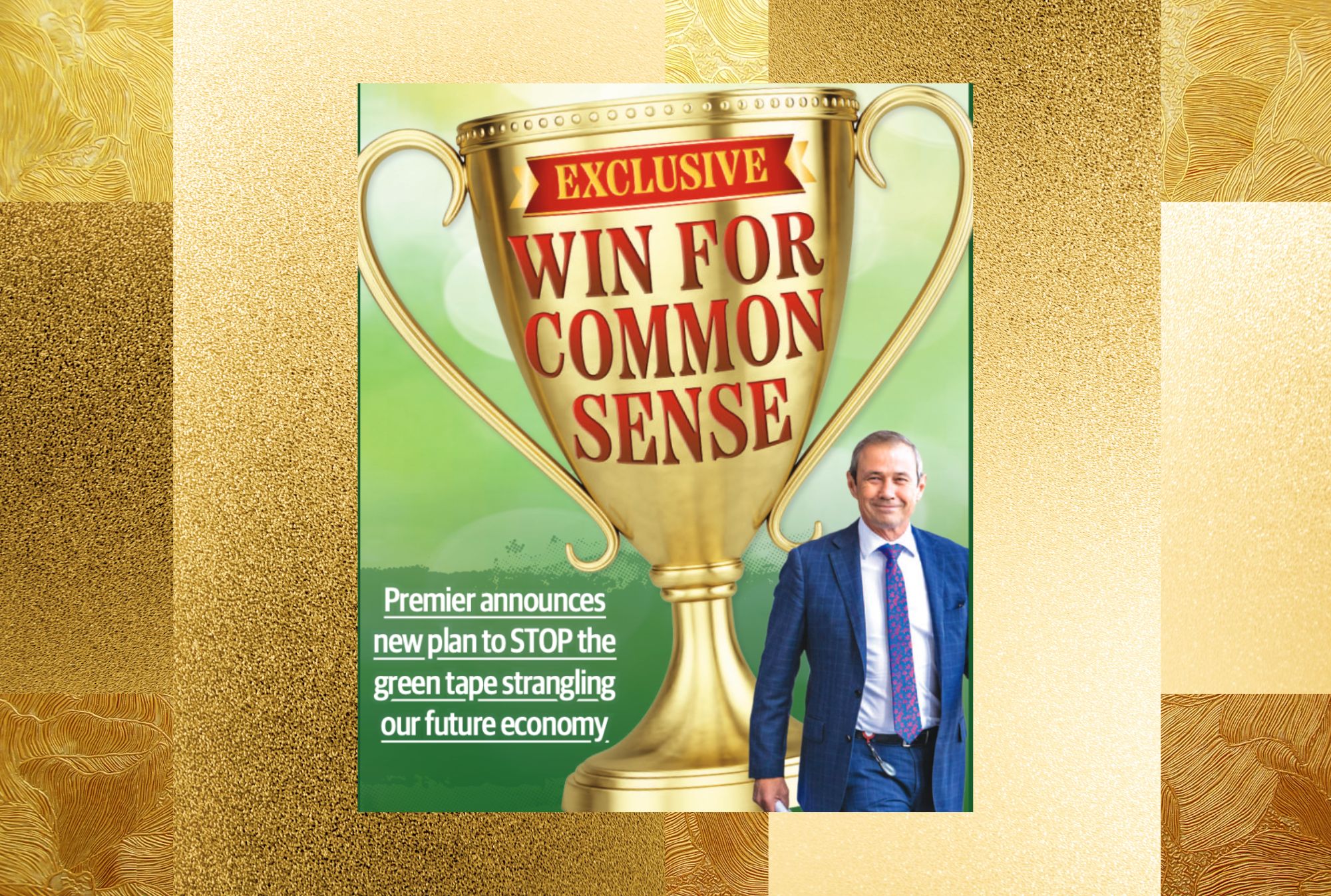 COOK’S NEW LAWS DECLARE WAR ON ‘GREEN TAPE’ - Andev Project