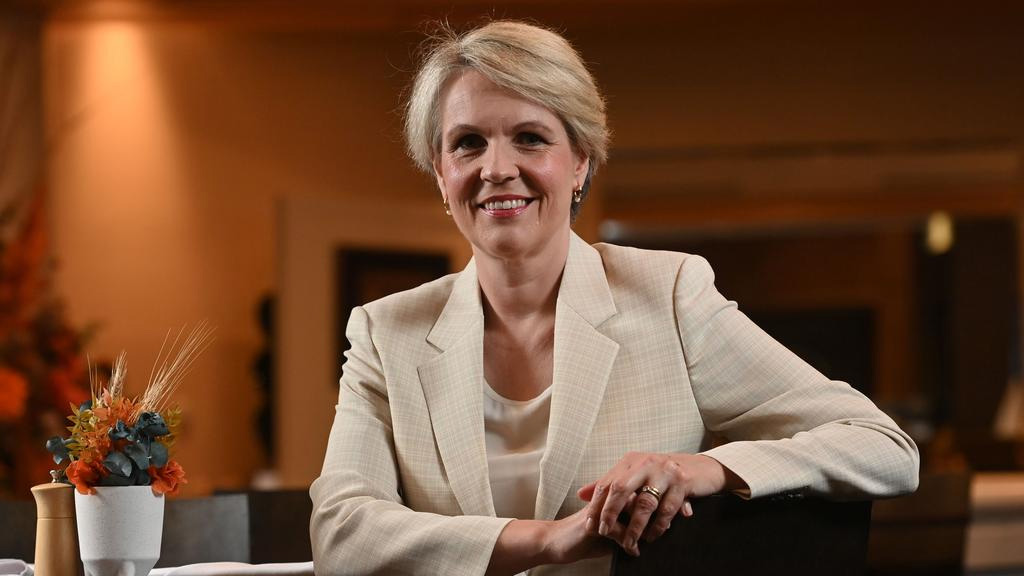 How Plibersek Stung Goldmine Plan - Andev Project