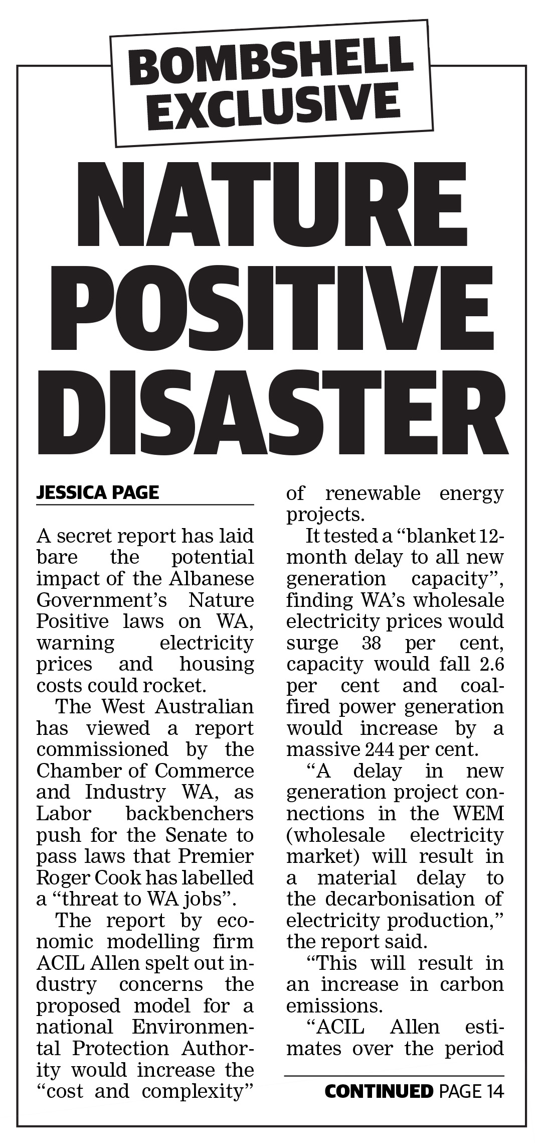 Nature Positive Disaster - Andev Project