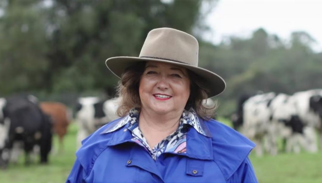 Chief backs Gina’s call to let pensioners, veterans and students work more - Andev Project